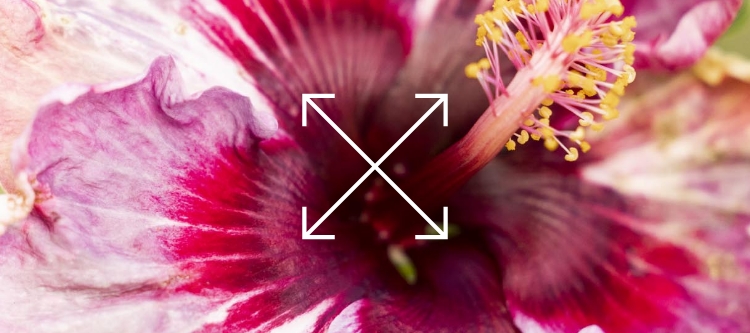 Silky Island - One-Piece Swimsuit for Women | Roxy