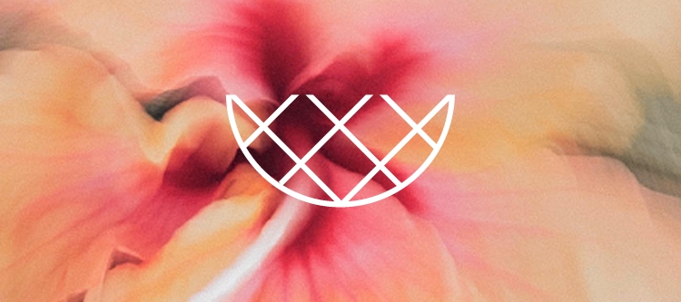 Silky Island - One-Piece Swimsuit for Women | Roxy